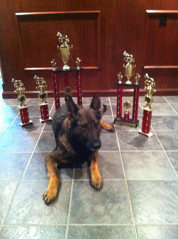 PHOTO OF THE DAY: Ridic’s Greatest Hits – Wilmington Apple