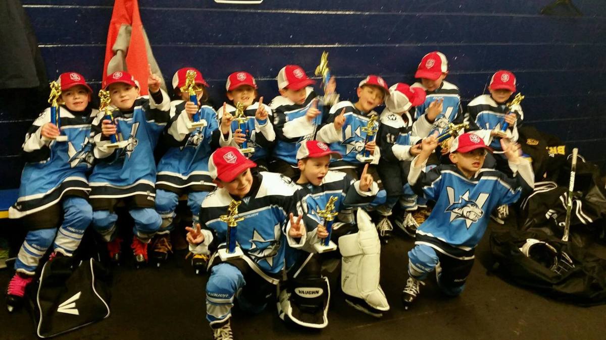 PHOTO OF THE DAY: Wilmington’s Mite 4 Team Wins Championship ...