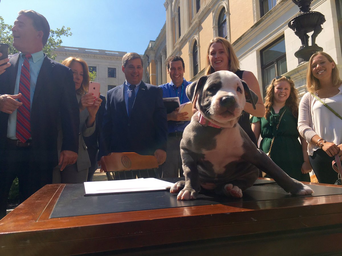 State Senator Bruce Tarr Named 1 Of America’s Top 10 Animal Defenders ...