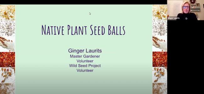 VIDEO: Wilmington Library Presents Workshop On “Native Seed Balls ...
