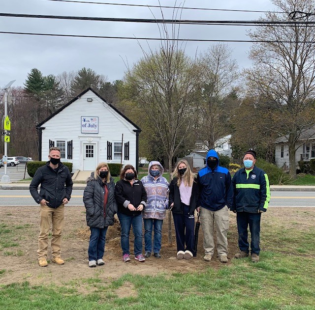 Wilmington Plants Tree On Town Common In Memory Of Late Tree Foreman ...
