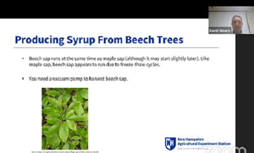 VIDEO: Wilmington Library Hosts Virtual Presentation On Producing Syrup ...