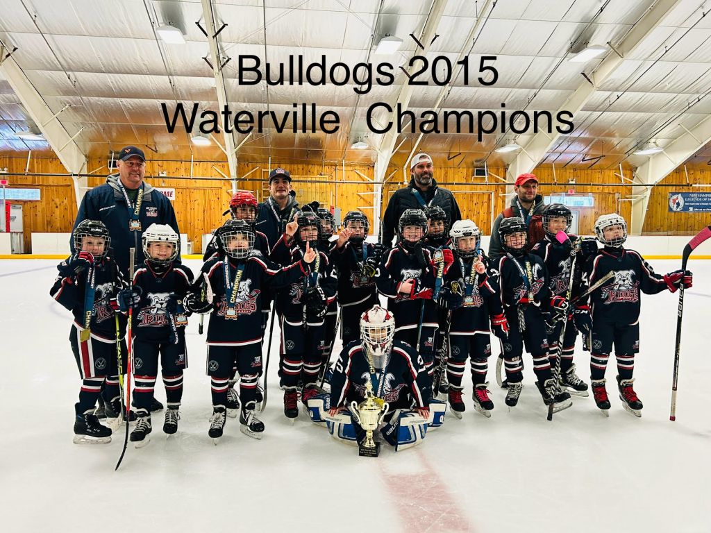 PHOTO: 7 Wilmington Players Help New England Bulldogs Mite Major Hockey ...