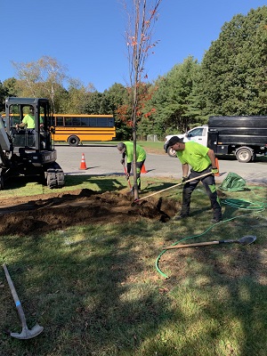 Town Of Wilmington Once Again Earns A Tree City USA Designation From ...