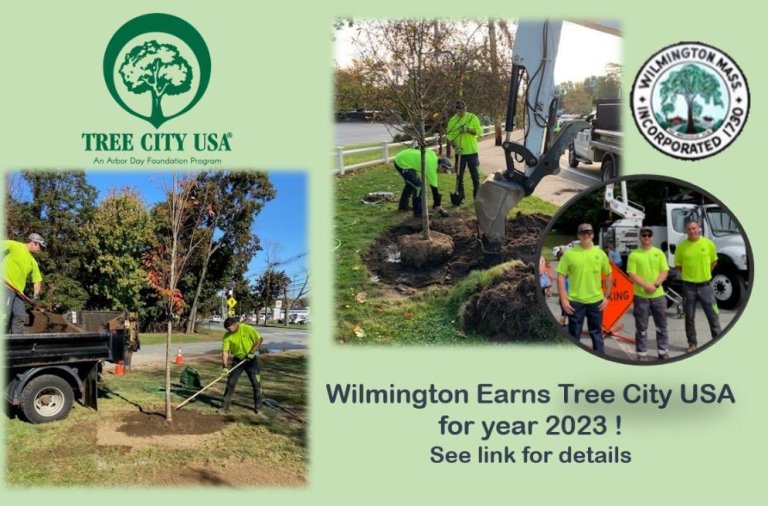Town Of Wilmington Once Again Earns A Tree City USA Designation From ...